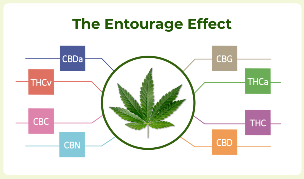 Knowledge Bank - Siam Herbal Tech